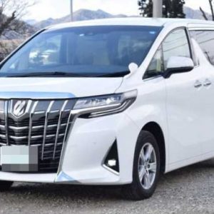 ALPHARD X 2019 2020 AGH30 FRONT GRILLE NORMAL ORIGINAL -P12234109 - NS ...